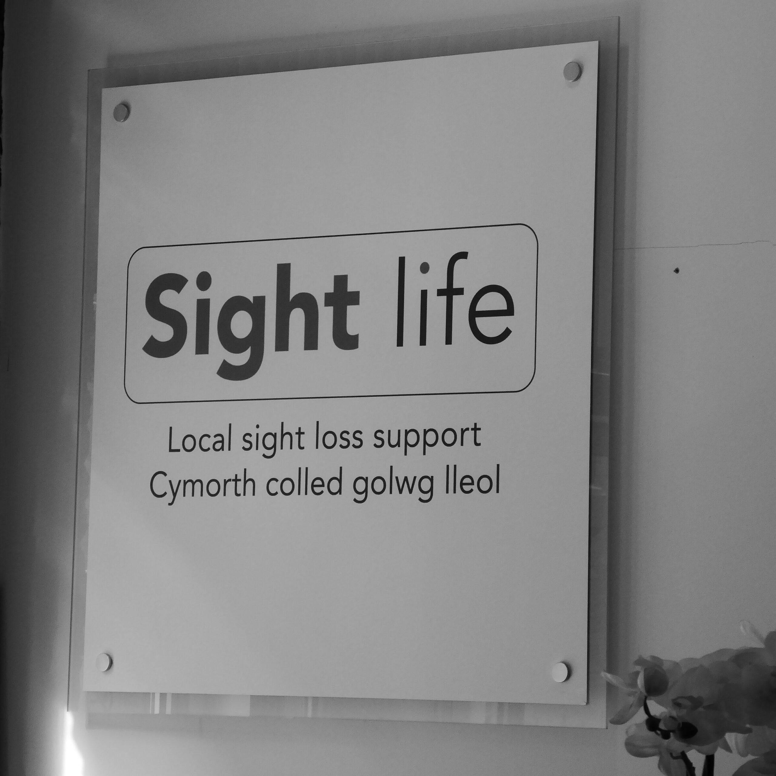 Case Studies - Sight Life